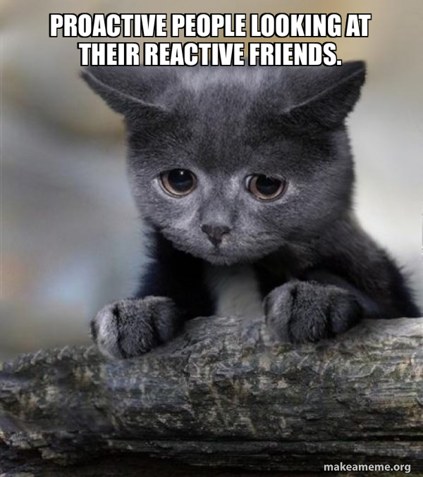 Proactive people looking at their reactive friends. - Confession Cat ...