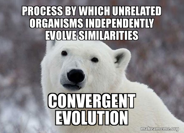 process by which unrelated organisms independently evolve similarities ...
