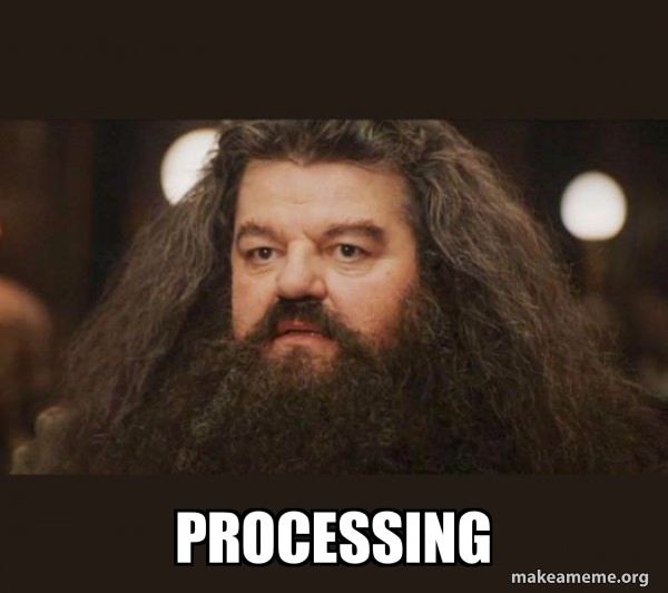 Processing - Hagrid - I should not have said that Meme Generator