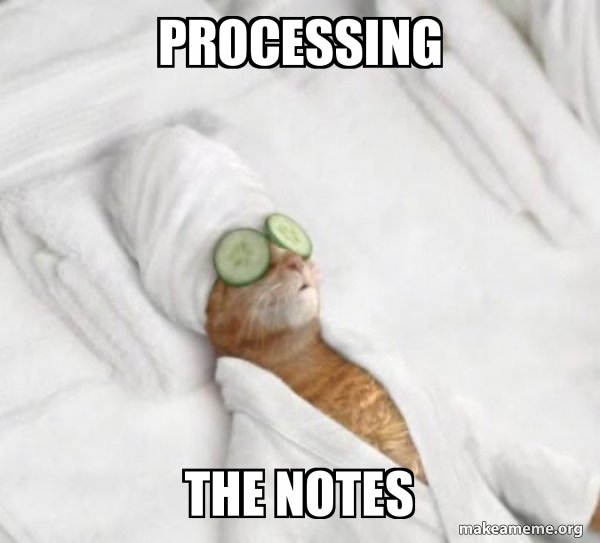 processing the notes - Pampered Cat Meme Meme Generator