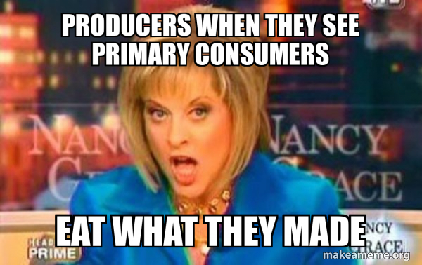 Producers when they see primary consumers eat what they made - False ...