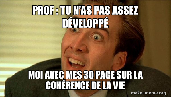 Prof : tu n’as pas assez développé Moi avec mes 30 page sur la ...