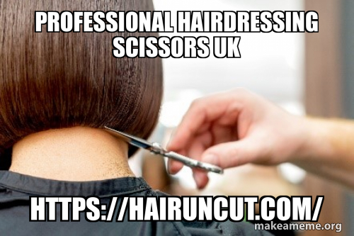 Professional Hairdressing Scissors UK https://hairuncut.com/ Meme Generator