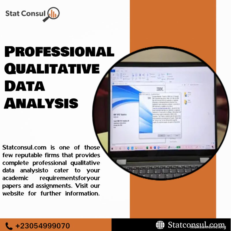 - Professional Qualitative Data Analysis Meme Generator