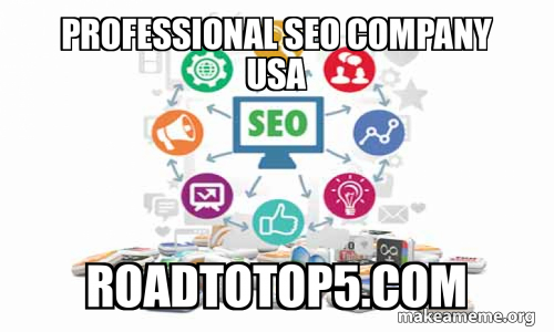 Professional SEO Company USA roadtotop5.com Meme Generator