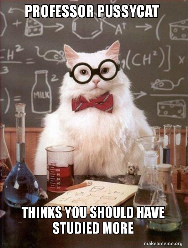 Professor Pussycat thinks you should have studied more - Chemistry Cat ...