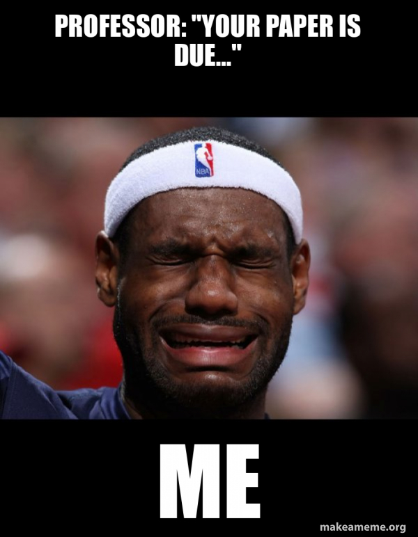 Professor: "Your paper is due..." Me - Lebron Crying Meme Generator