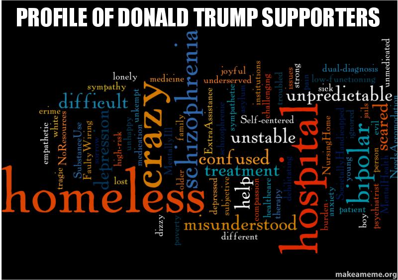 Profile of Donald Trump supporters Meme Generator