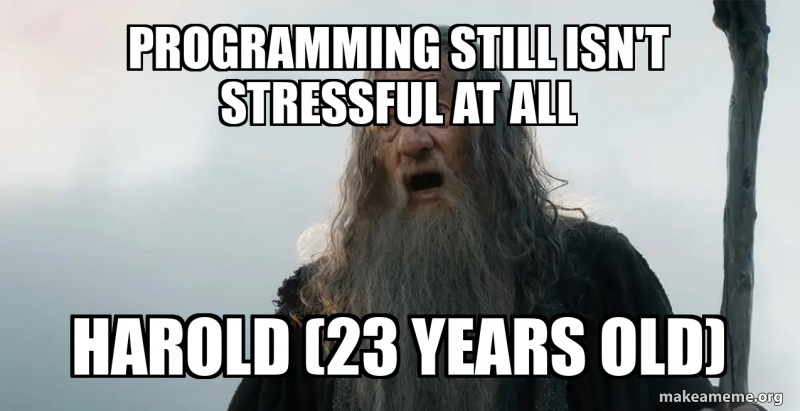 Programming still isn't stressful At all Harold (23 years old) Meme ...