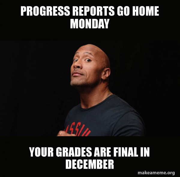 Progress Report Memes Economicdevelopment #localgovernment #meme