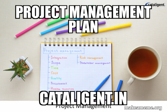 Project management Plan cataligent.in Meme Generator