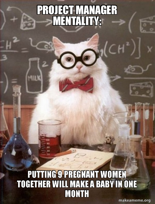 Project manager mentality: Putting 9 pregnant women together will make ...