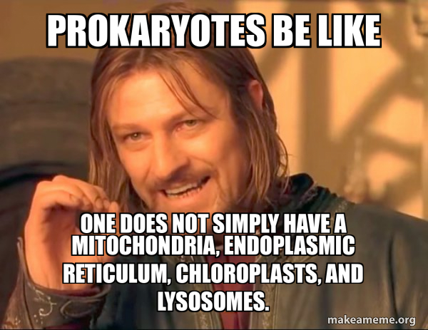 Prokaryotes be like One does not simply have a mitochondria ...
