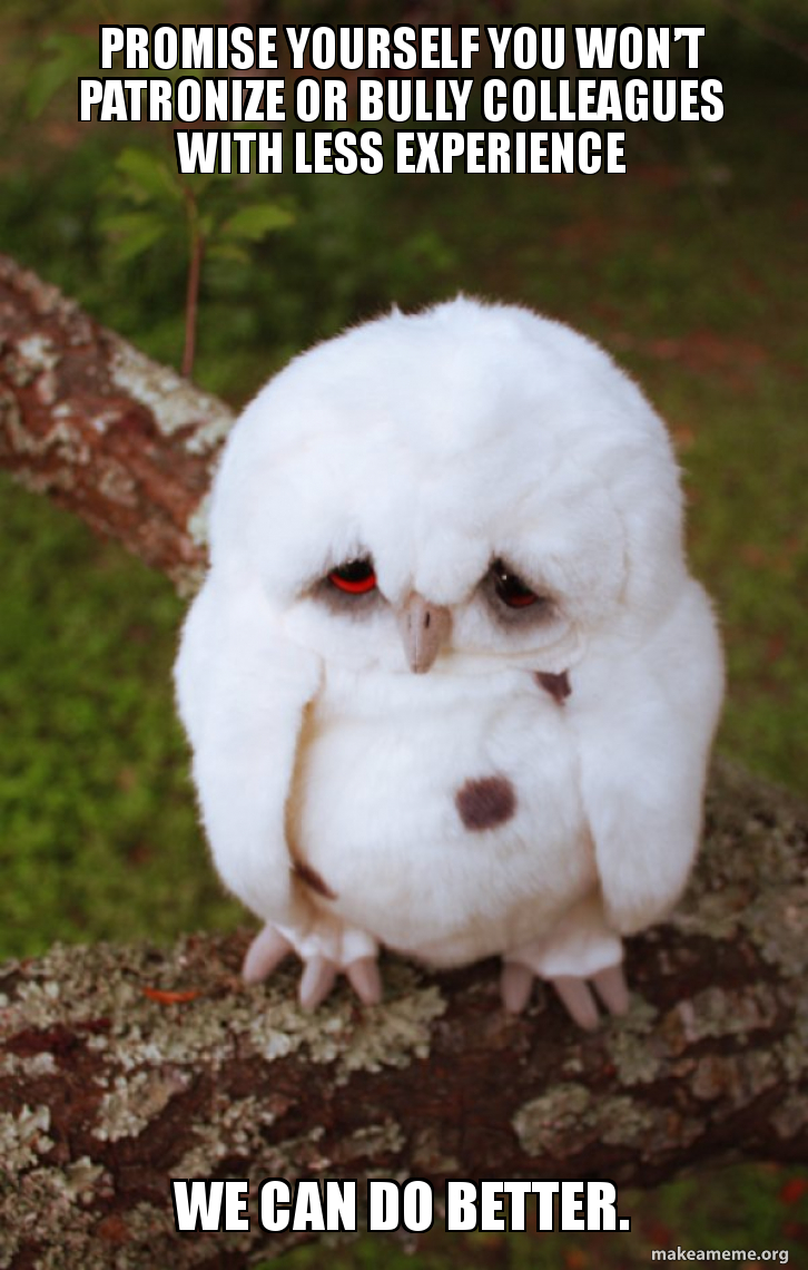 Promise Yourself you wonâ€™t patronize or bully colleagues with less ...