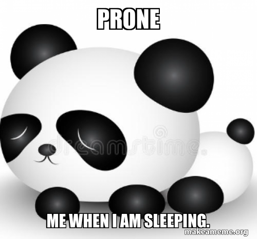 prone me when i am sleeping. Meme Generator