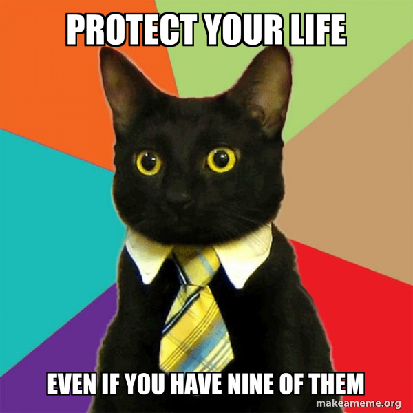 Protect your life Even if you have nine of them - Business Cat Meme ...