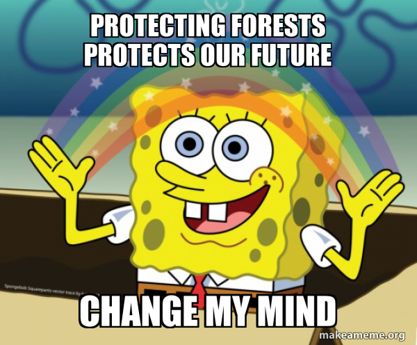 Protecting forests protects our future Change my mind - Rainbow ...