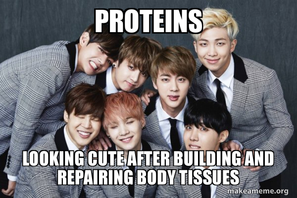 Proteins Looking cute after building and repairing body tissues - K-Pop ...
