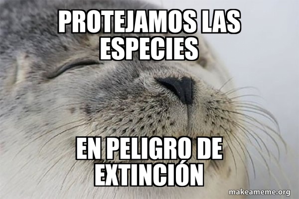 Protejamos las especies en peligro de extinción - Satisfied Seal Meme ...