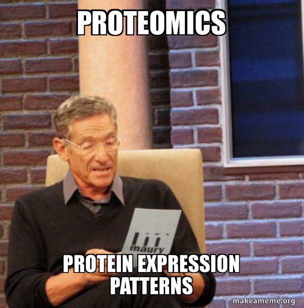Proteomics protein expression patterns - Maury Povich Lie Detector Test ...