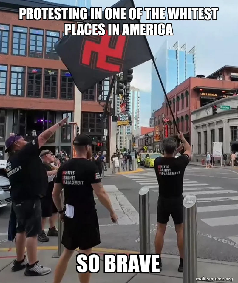 protesting in one of the whitest places in america so brave Meme Generator
