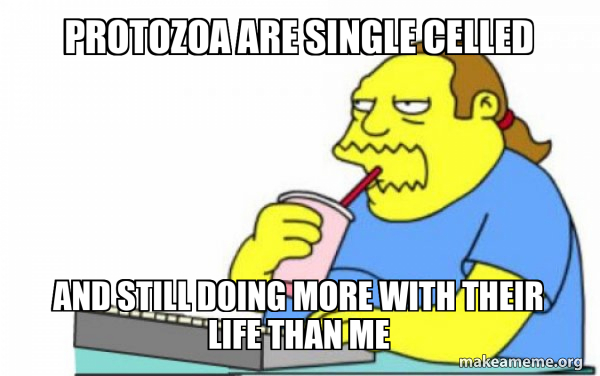 Protozoa are single celled and still doing more with their life than me ...