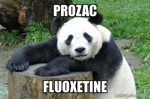 PROZAC FLUOXETINE - Confession Panda Meme Generator