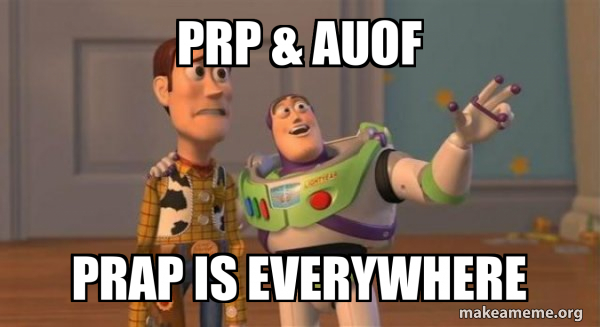 PRP & Auof Prap is everywhere - Buzz and Woody (Toy Story) Meme Meme ...