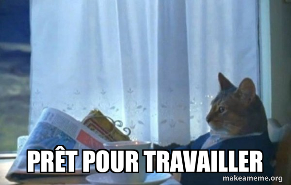 PRÊT POUR TRAVAILLER - Sophisticated Cat Meme Generator