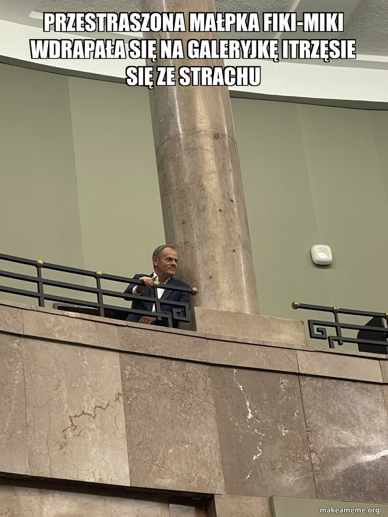 Przestraszona małpka fiki-miki wdrapała się na galeryjkę itrzęsie się ...