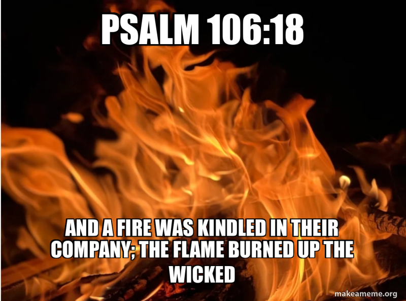 Psalm 106:18 And a fire was kindled in their company; the flame burned ...