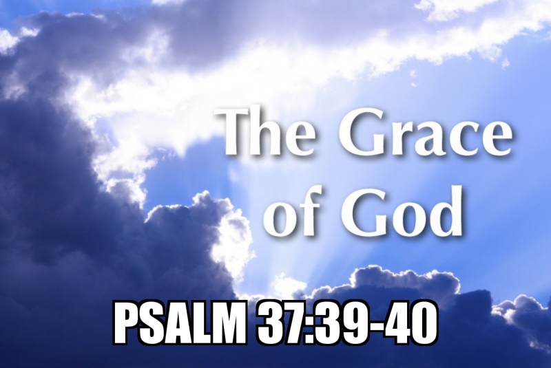 psalm 37:39-40 Meme Generator