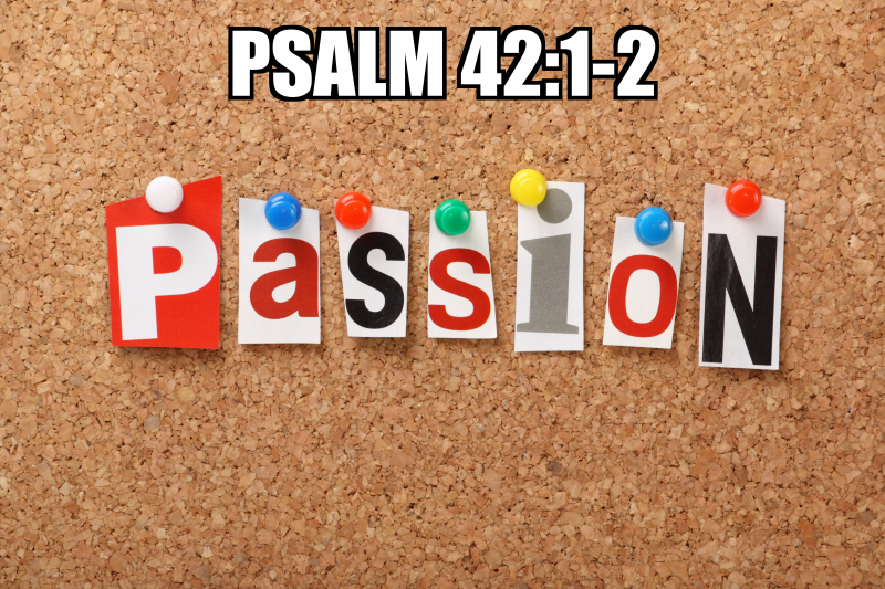 psalm 42:1-2 Meme Generator