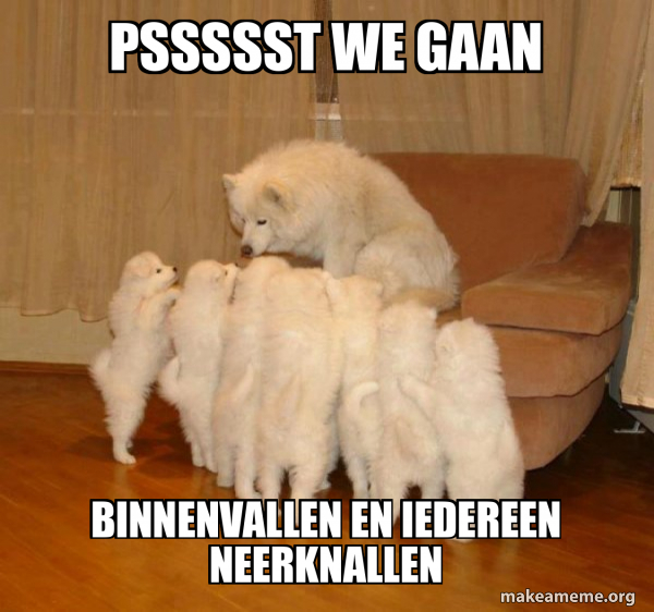 Pssssst we gaan BINNENVALLEN EN IEDEREEN NEERKNALLEN - Storytelling Dog ...
