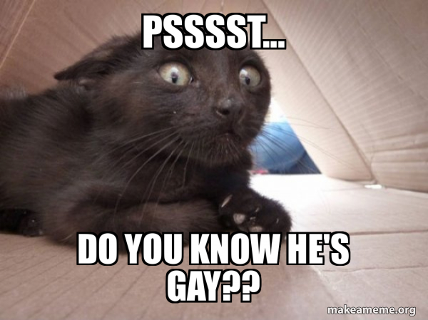 Psssst... do you know he's gay?? - Schitzo Cat Meme Generator
