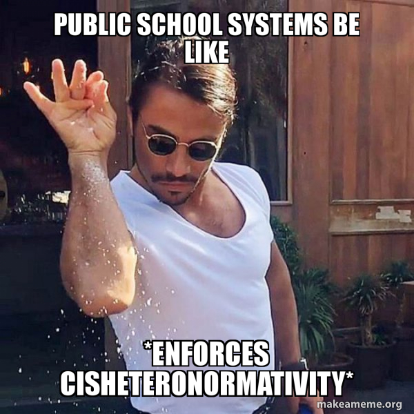 Public School Systems Be Like *Enforces Cisheteronormativity* - SaltBae ...