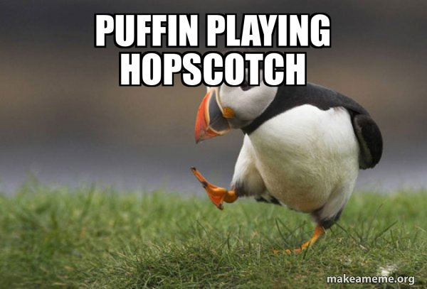 Puffin playing hopscotch - Unpopular Opinion Puffin Meme Generator