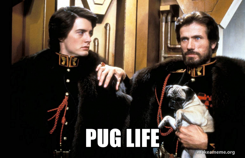 Pug life Meme Generator