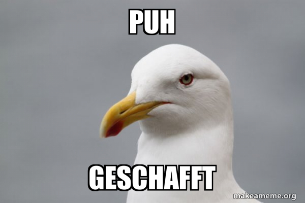 Puh geschafft - Stuff That Didn't Happen Seagull Meme Generator