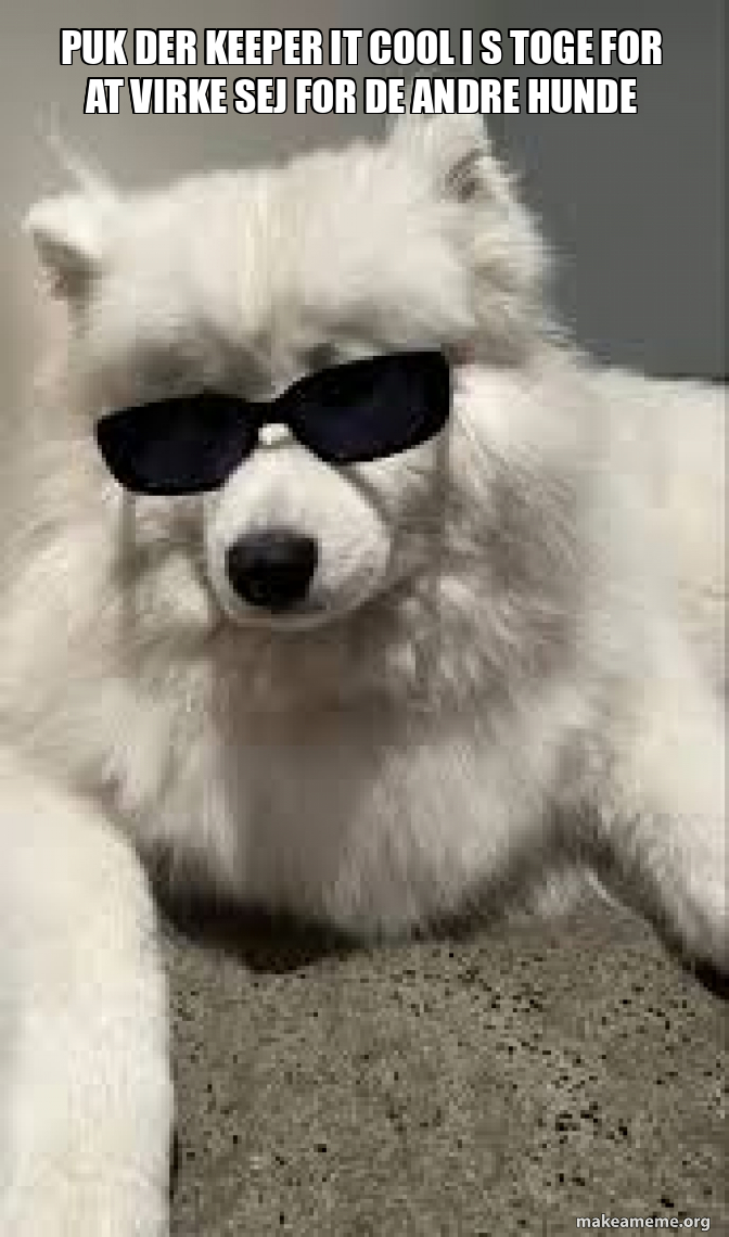 Puk der keeper it cool i s toge for at virke sej for de andre hunde ...