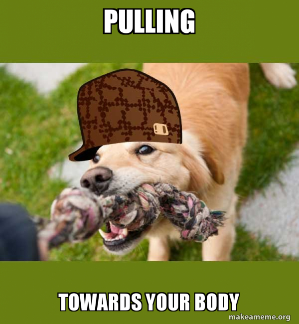 Pulling Towards your body - Scumbag dog Meme Generator