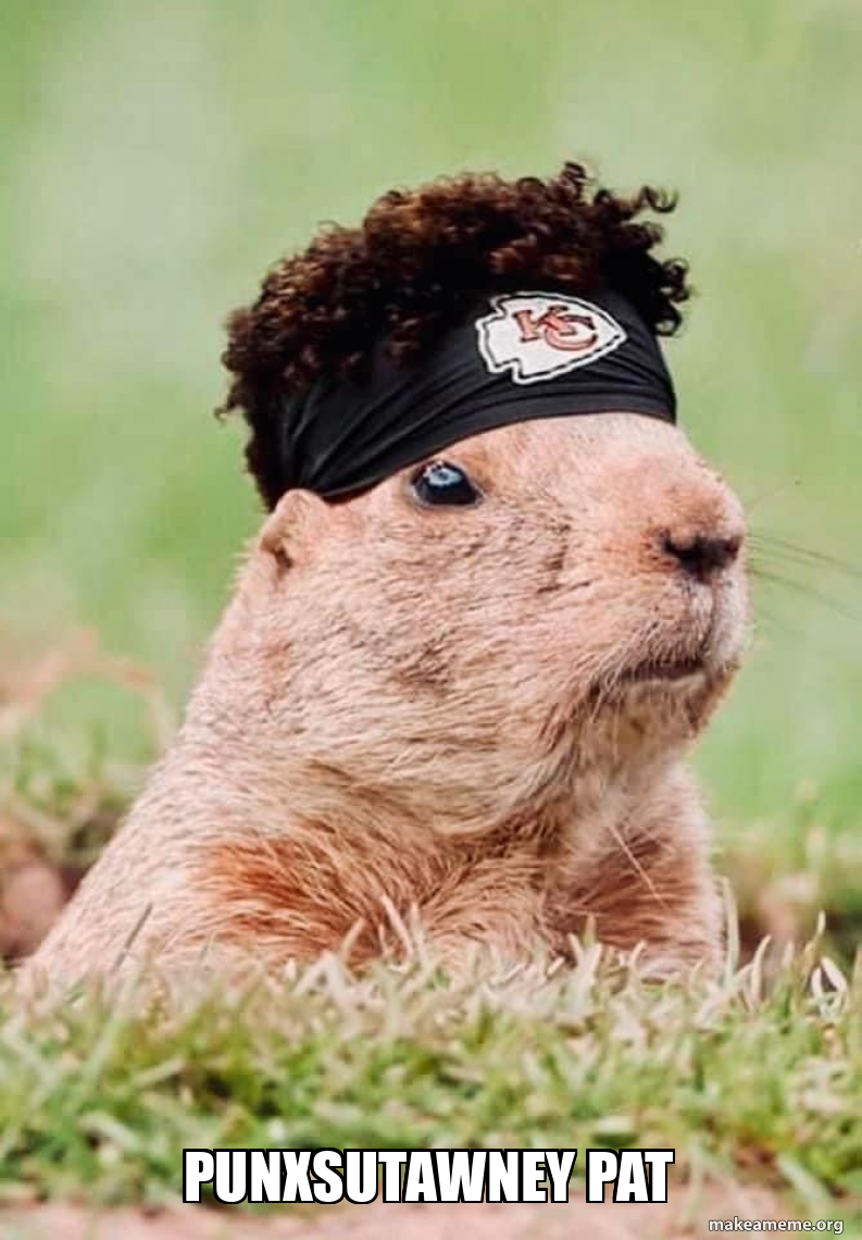 Punxsutawney pat Meme Generator