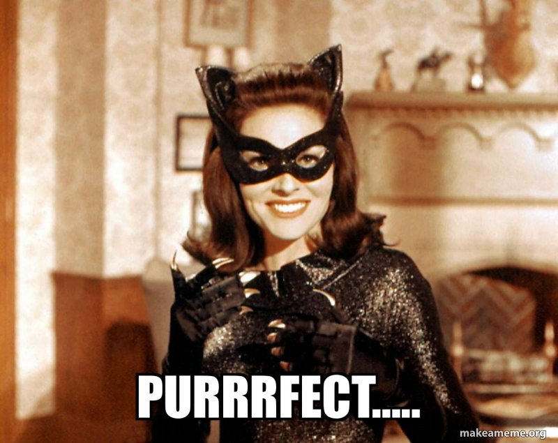 Purrrfect….. Meme Generator