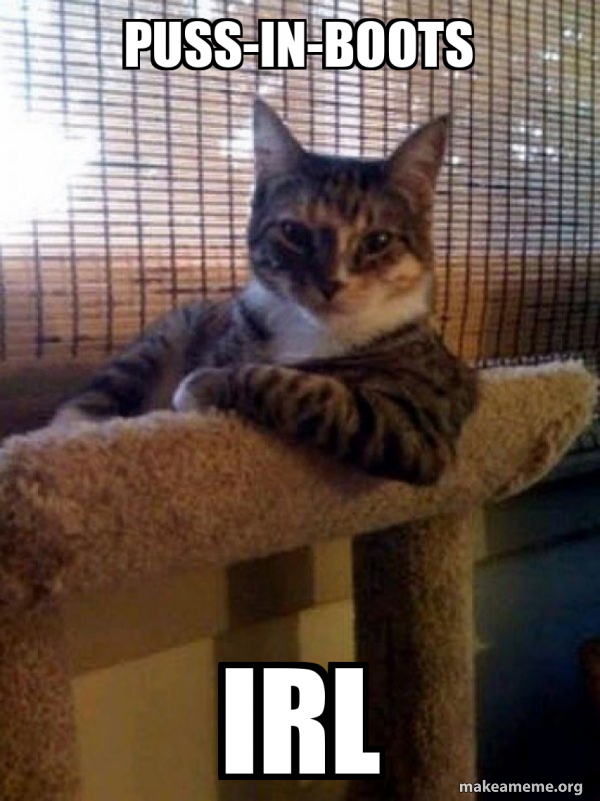 PUSS-IN-BOOTS IRL - The Most Interesting Cat in the World Meme Generator