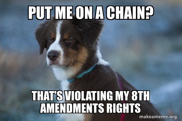 Put me on a chain? That's violating my 8th amendments rights - Unsure ...