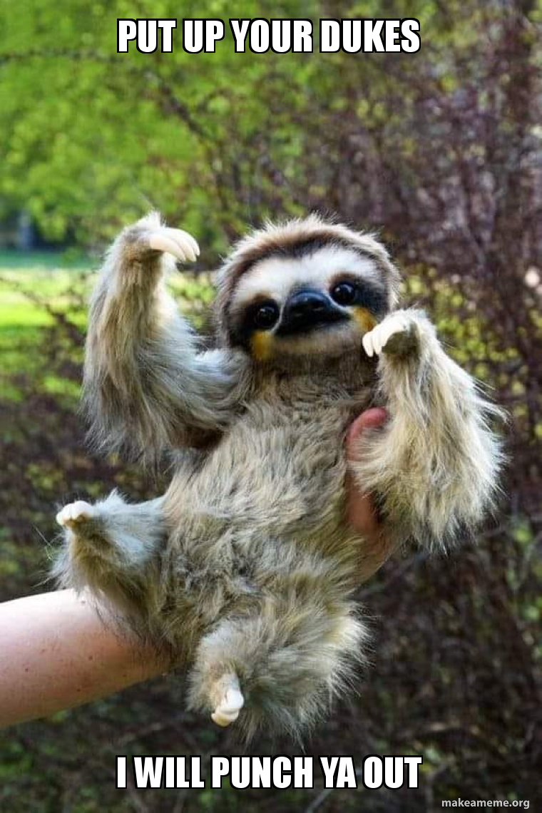 put up your dukes i will punch ya out Meme Generator