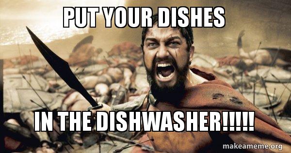 Put your dishes in the dishwasher!!!!! - The 300 Meme Generator