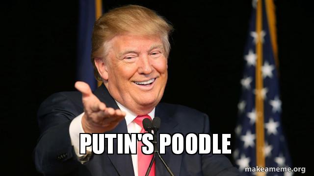 putin's poodle Meme Generator