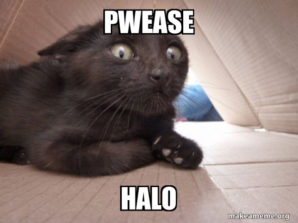 Pwease Halo - Schitzo Cat Meme Generator