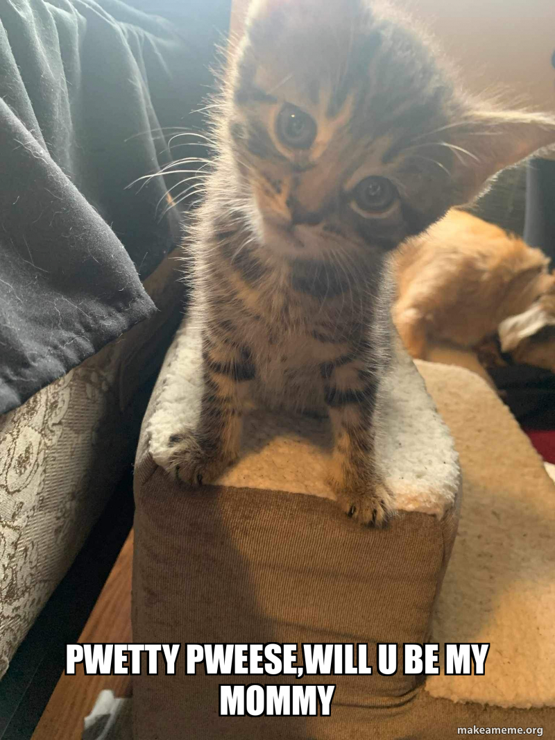 pwetty pweese,will u be my mommy Meme Generator
